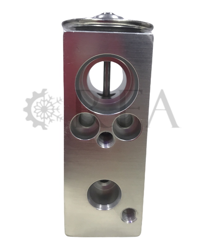 Válvula Expansión – RENAULT – RFA